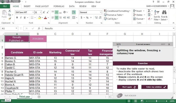 Course: Microsoft Excel 2013 Course E-learning Intermediate & Expert ...